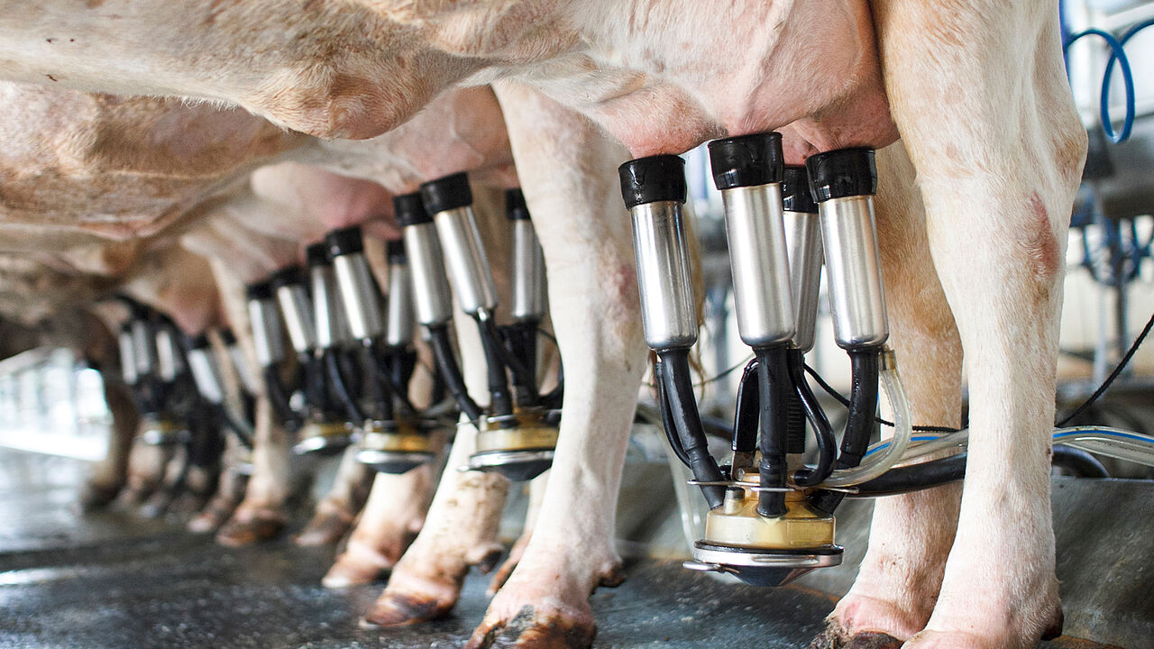Milk cooling for farms | HTT AG